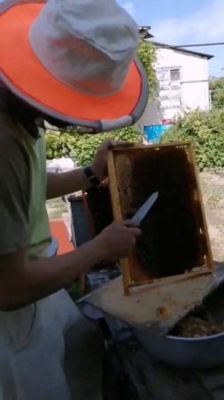 срезаем забрус распечатываем соты с мёдом