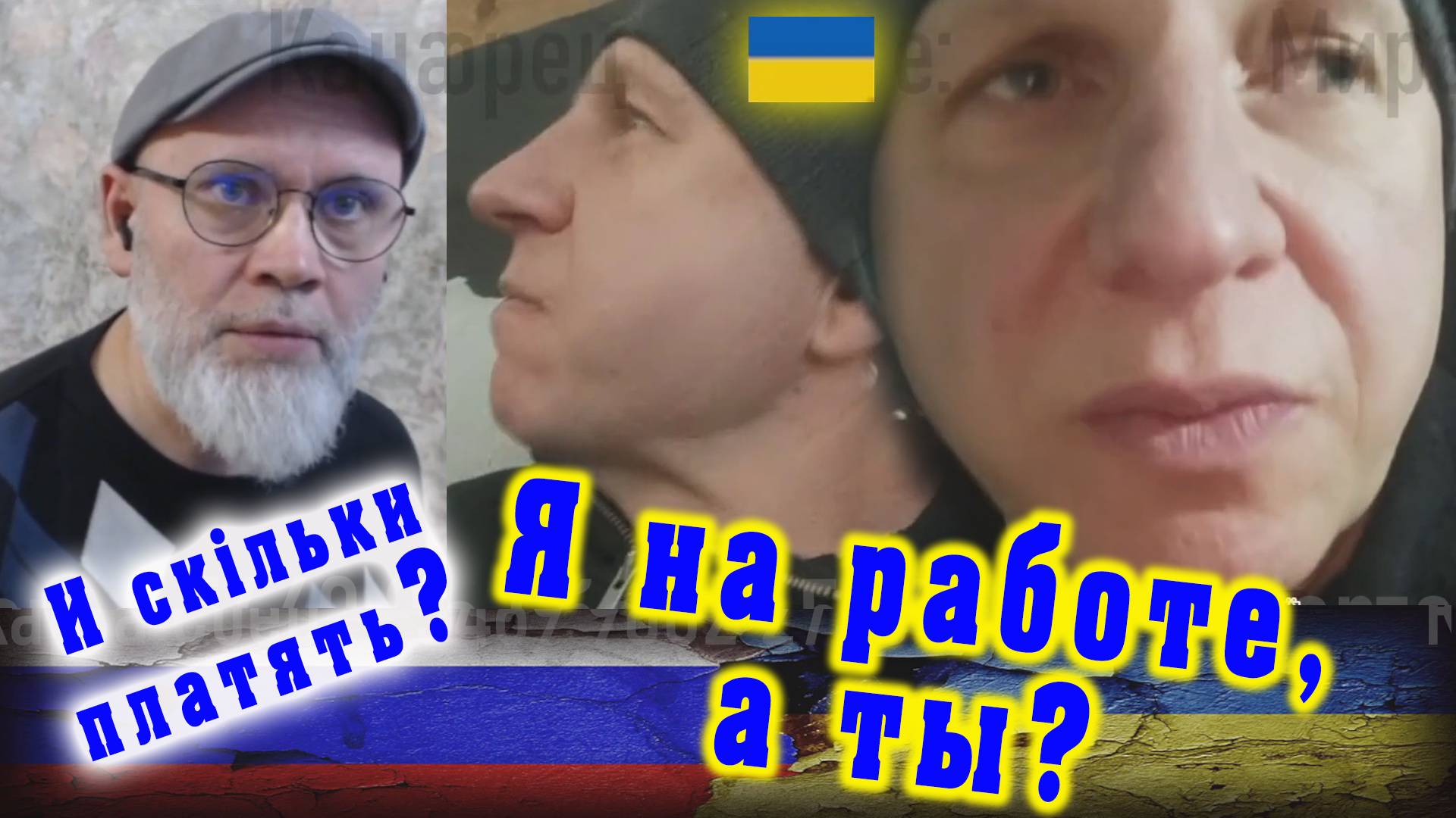 Птица ГОВОРУН отличается ... 🔥 РулетТВ 🔥