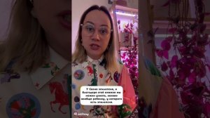 📕🐶Аляска, автор Анна Вольтц.
