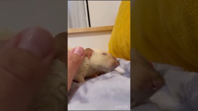 прошедшие дни годы и все прочее