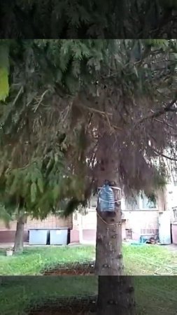 Санаторий Фрунзенец. г.Самара.