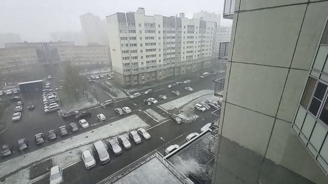 Апрельский снег в Петербурге. 2025