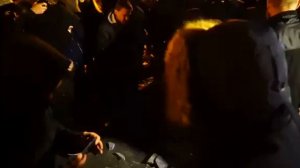 Протесты в горсаду, 14.11.2017
