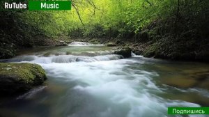 Подпишись на RuTube Music