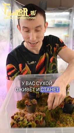 лайфхак по хищным растениям