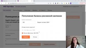 Настройка рекламы на Вайлдберис. Вера Железная.