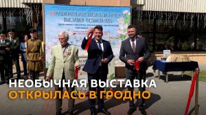 Как отправляли письма солдаты ВОВ – необычная выставка открылась в Гродно