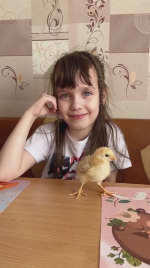 Ребятки, а как Вам такой цыпленок🐥 ? В гостях у бабули встретила такое чудо💓 #цыпленок #дача