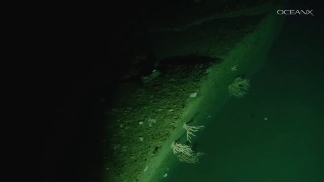 A Look Inside the Greatest Research Vessel I OceanXplorer
