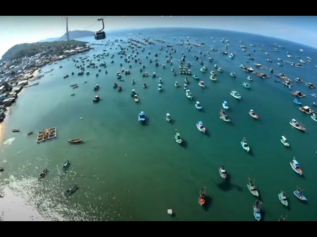 Устроили себе пляжный отдых... Вьетнам, январь 2019 Фукуок,