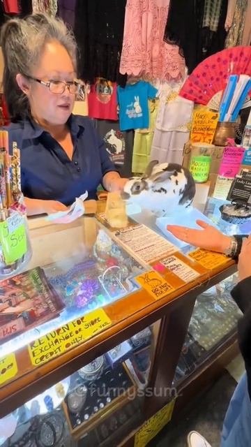 Big Fails 🤣🤣 #shorts #funny #fails