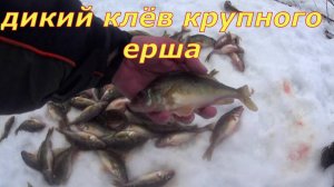 Дикий клёв. Погода жесть, рыбалка огонь.