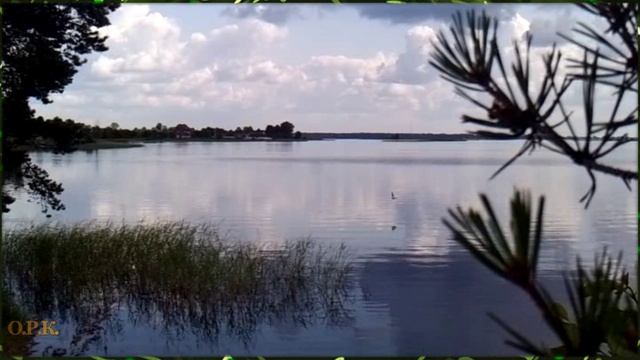 ТИХИЙ ОМУТ (личные видео съемки)