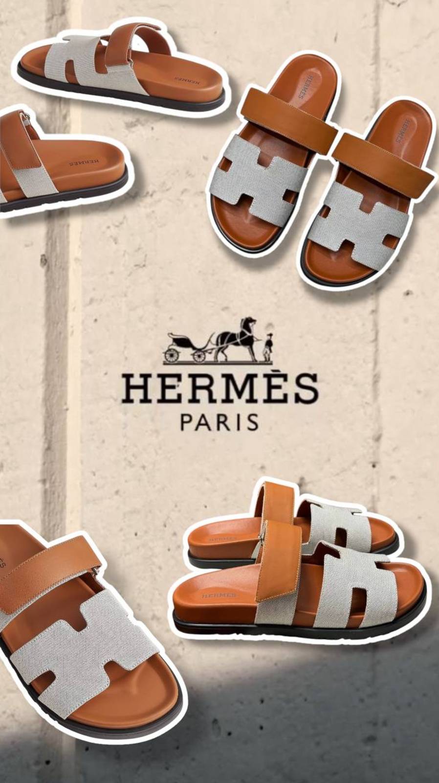 HERMES Chypre