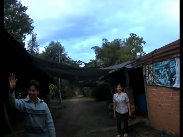 Два литра зеленого чая перед сном... Вьетнам  2018г