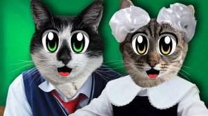 ШКОЛА КОТОВ 1 СЕНТЯБРЯ! КОТИКИ идут СНОВА в ШКОЛУ ! НИНДЗЯ ЧЕЛЛЕНДЖ для КОТОВ! А ну-ка давай-ка