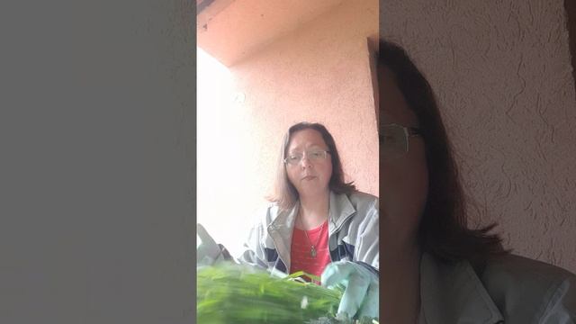 КРАПИВА И СЫР. ЗАЧЕМ?