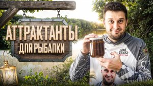 Аттрактанты своими руками