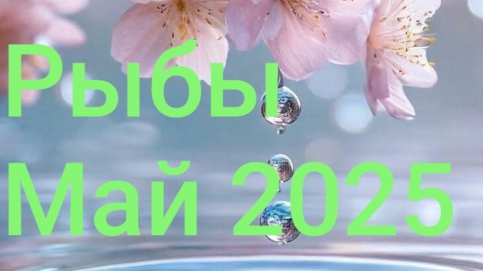 Рыбы. Май 2025 год. 🪻🪻🪻