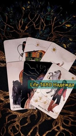 💯ЧТО ЖДЁТ❓🔥❗ СОБЫТИЯ НА ЗАВТРА❗ расклад таро #shorts  #гадание #таро (2)