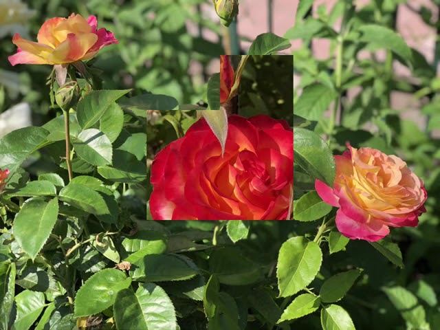 Красота- "страшная" сила!