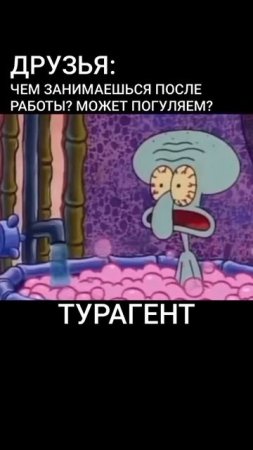 ЖИЗА 😆
