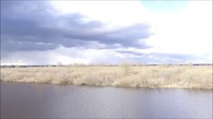 ВОЛЖСКИЙ ФАРВАТЕР У ОЧАИХИ И КРАСНОГО ОСЕЛКА НИЖЕГОРОДСКАЯ ОБЛАСТЬ