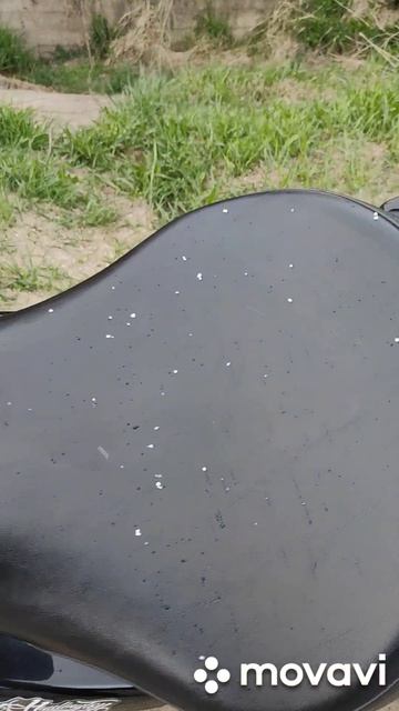 moto ride +3° +snow снег и холод но нам пофиг)) honda shadow