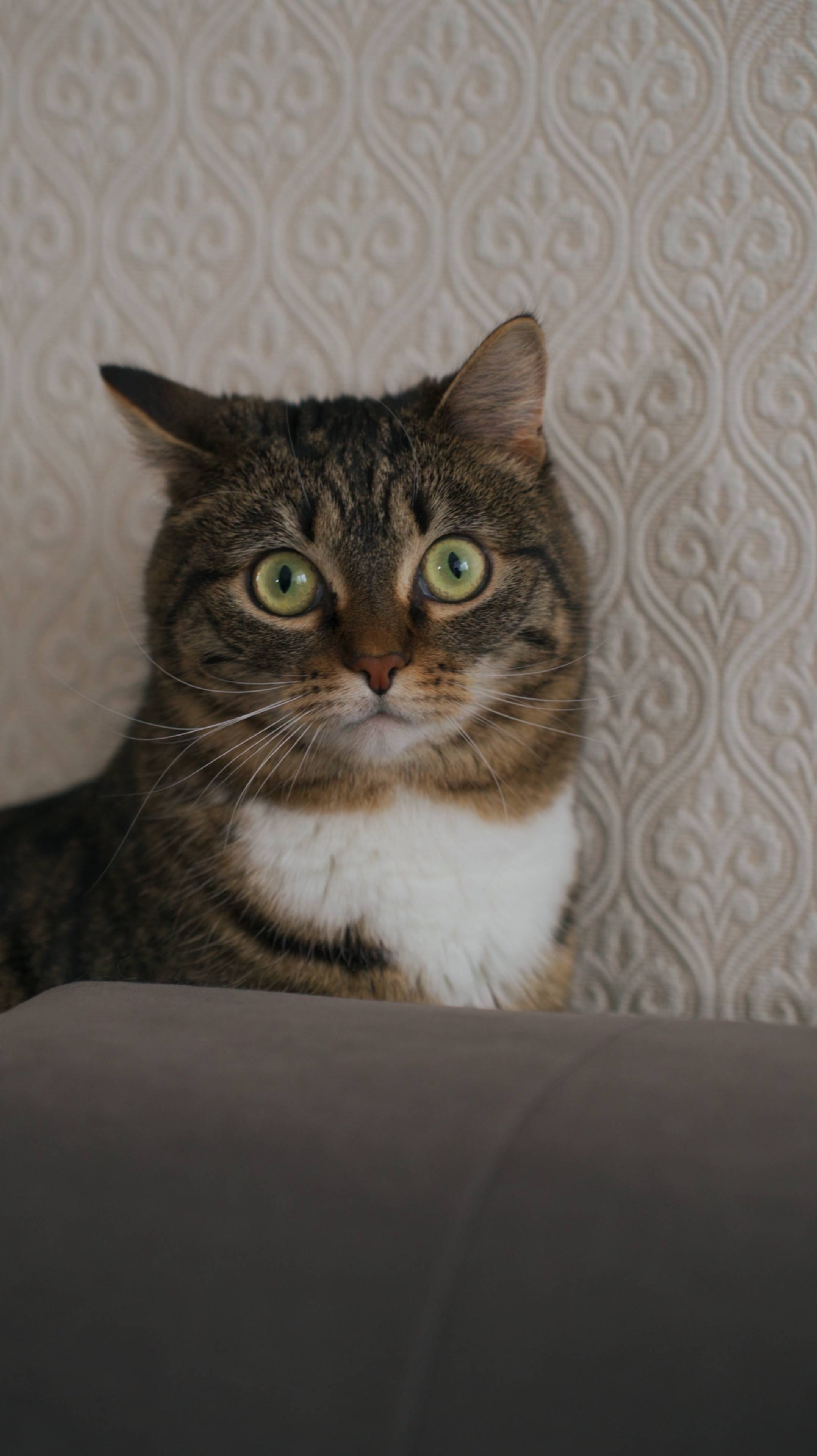 Рассказали — как приобрести жильё по семейной ипотеке, если ребенок ещё не родился.