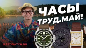 Топ часы для отдыха: Casio, Sea-Gull, Citizen и другие часы, которые не подведут