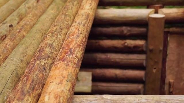 построил домик в лесу