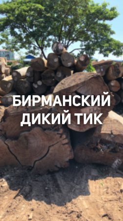 Какой материал используют для палуб дорогих яхт и террас?
