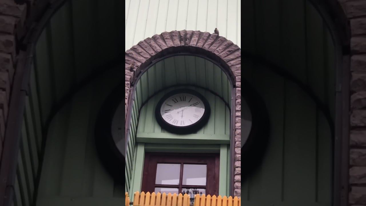 Воробей под крышей- МИР на ЗЕМЛЕ!!! ✌️✌️✌️