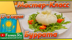 Моцарелла, Буррата, косичка Чечил. Вытяжной сыр (сыры группы паста филата). Сыры из коровьего молока