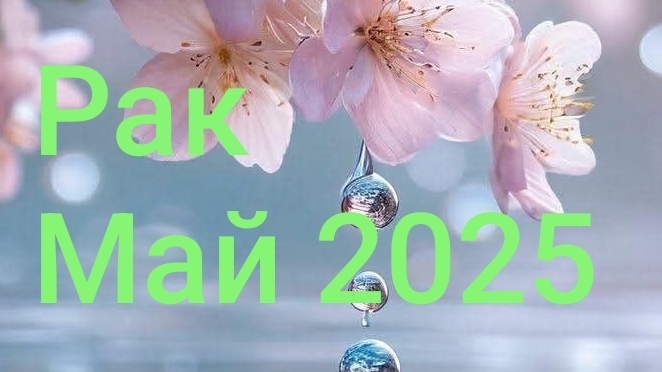 Рак. Май 2025 год. 🪻🪻🪻