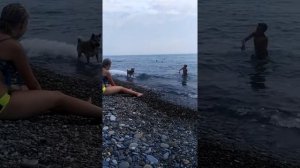 Лазаревское