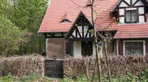 Мой второй День рождения в Польше. Как набрать подписчиков.