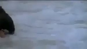 никогда не сдавайся и верь в себя