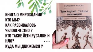 Книга о мироздании "Три Адама. Тайны Эволюции "