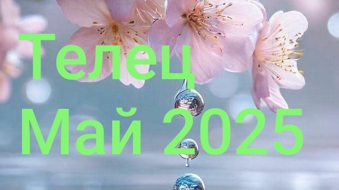 Телец. Май 2025 год. 🪻🪻🪻