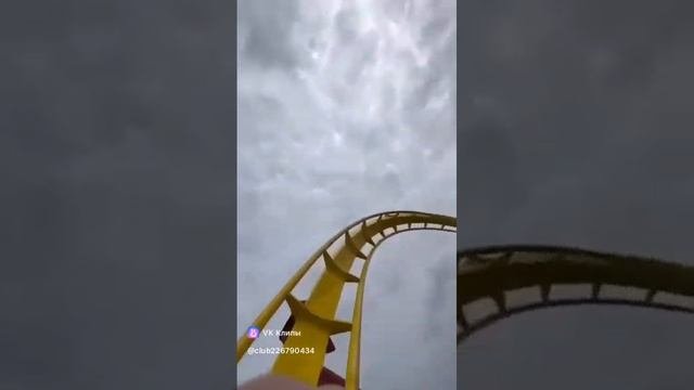 🤣🤣🤣