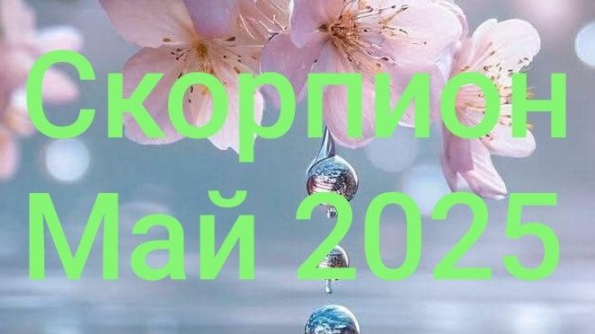 Скорпион. Май 2025 год. 🪻🪻🪻