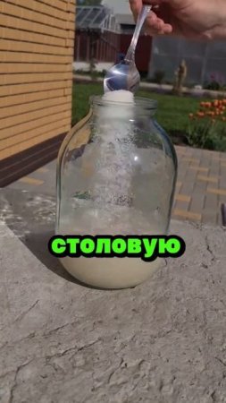 Подкормка для томатов