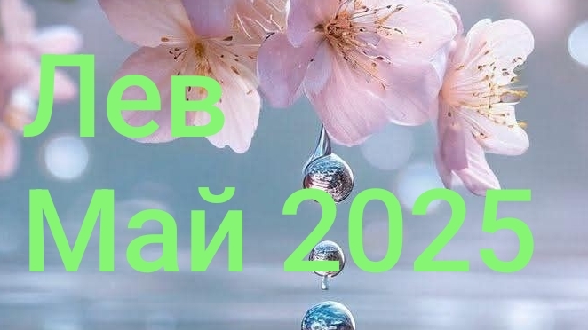 Лев. Май 2025 год. 🪻🪻🪻
