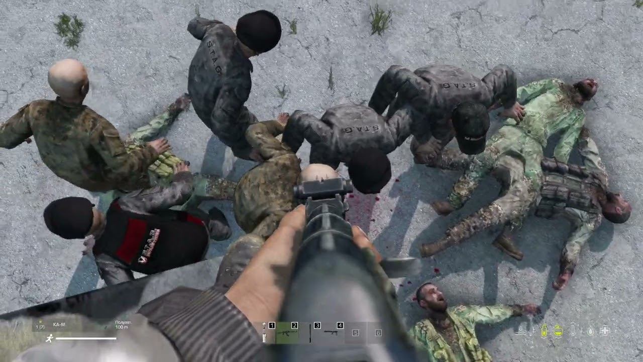 DayZ - Сброс сервера. Нападение СТАГовцев.