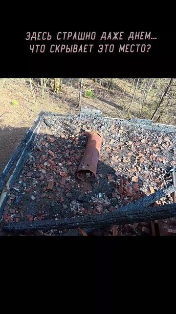 Здесь страшно даже днем… Что скрывает это место