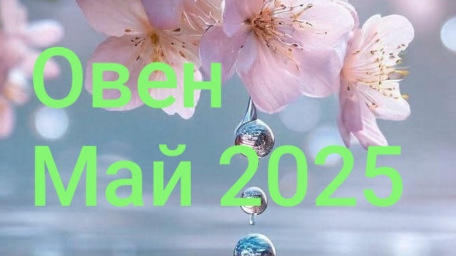 Овен. Май 2025 год. 🪻🪻🪻