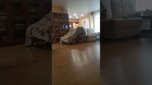 Гоша и его подруга построили детский  домик, будут жить)))