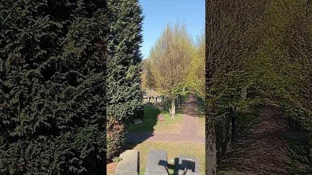 Тропарь греческий святым Трофиму, Савватию и Доримедону