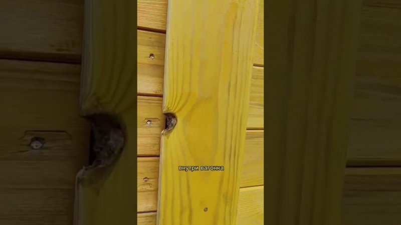Строительная бытовка #стройка #ремонт #вагончик